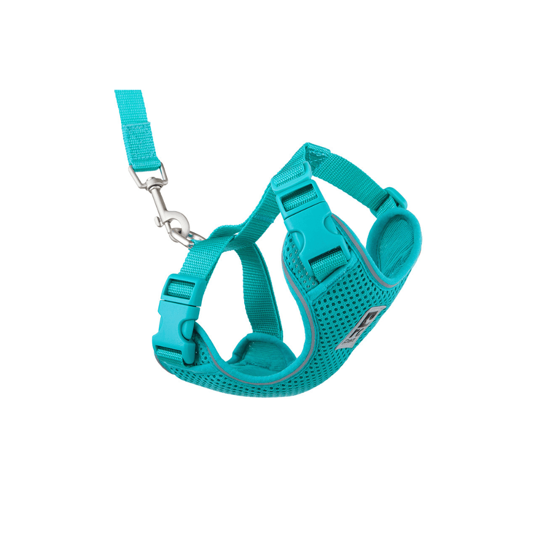 RC Pets Cat Harnesses - Adventure Kitty Harness – Toronto Pets